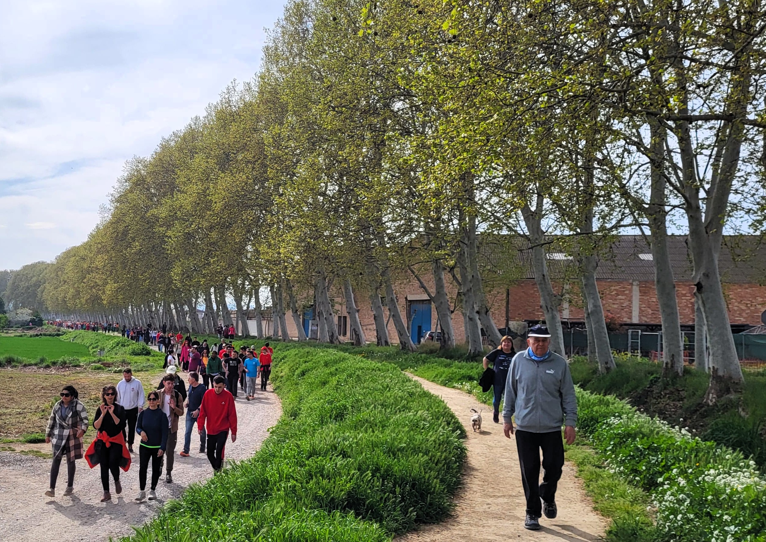 Mollerussa mobilitza 400 persones en una caminada saludable amb motiu ...